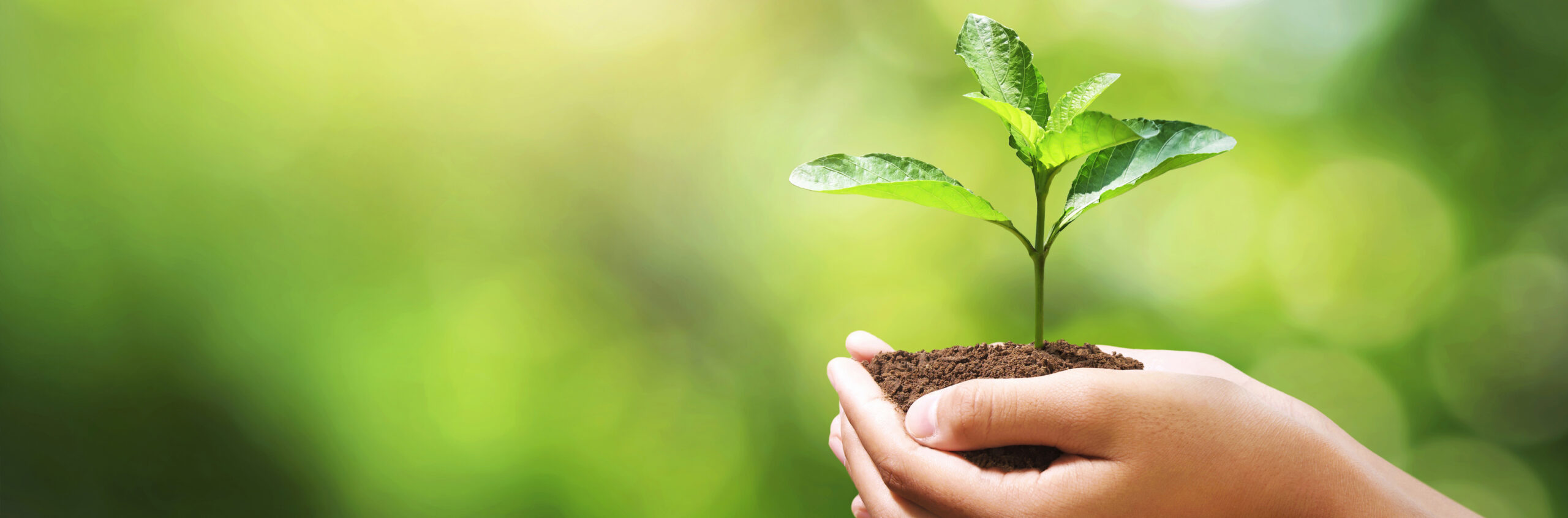 UK Government Grants - Infinity Energy Organisation Ltd.