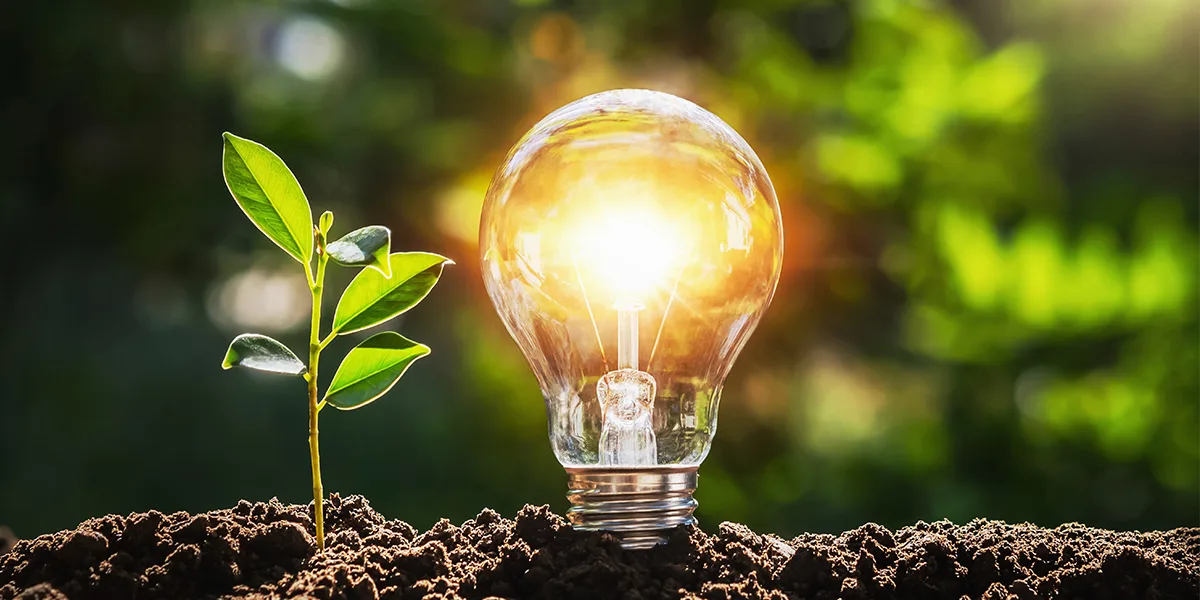 Discover Our Vision for a Sustainable, Energy-Efficient Future